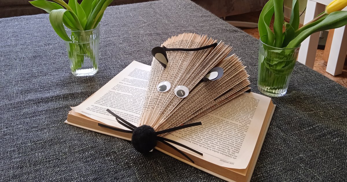 Endlich wiederbelebt! | Grundschule Weidenthal