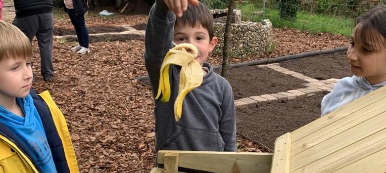 Gartenprojekt | WebPackage